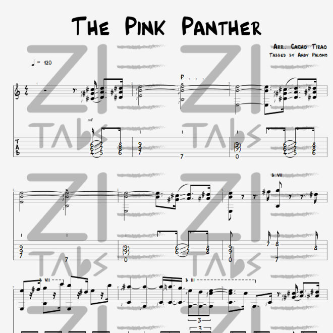 The pink panther (La pantera rosa), Arr. Cacho Tirao | ZITAbS